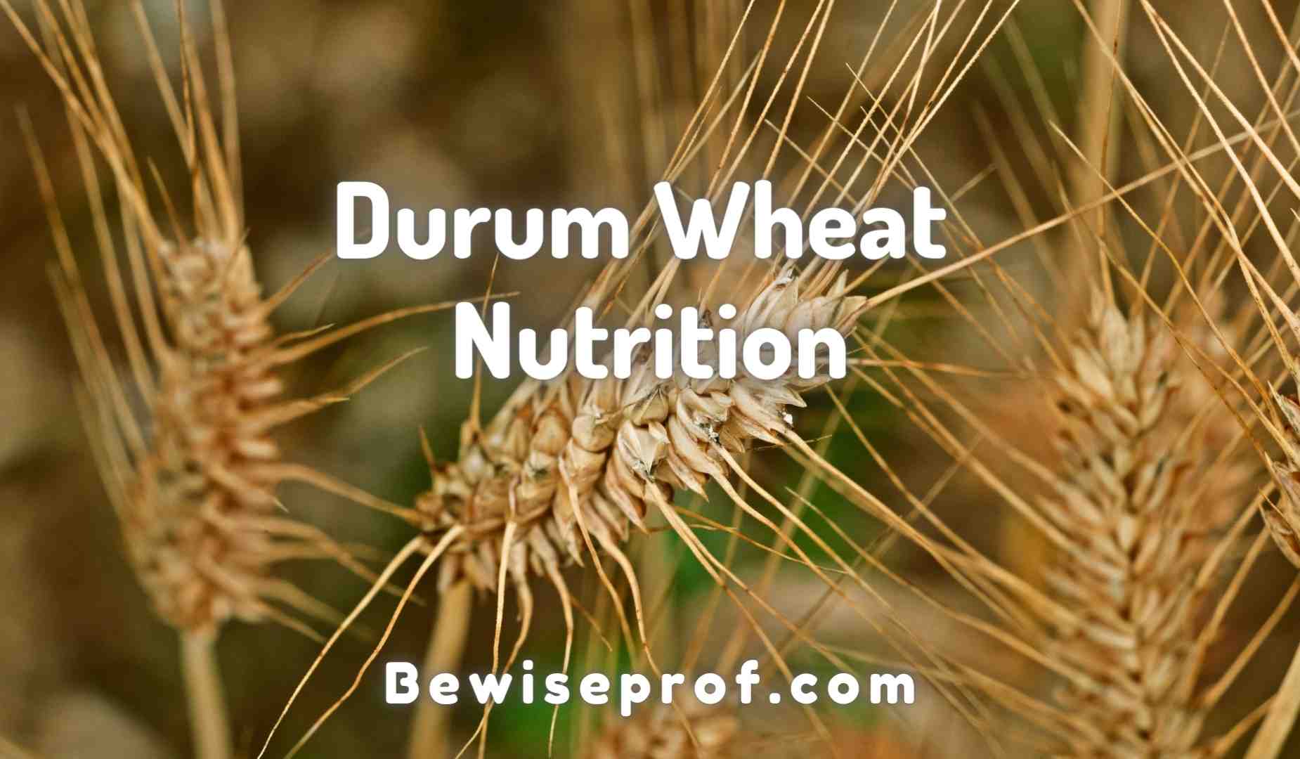 Durum Wheat Nutrition, Well being Benefits & Factors You Should Know ...